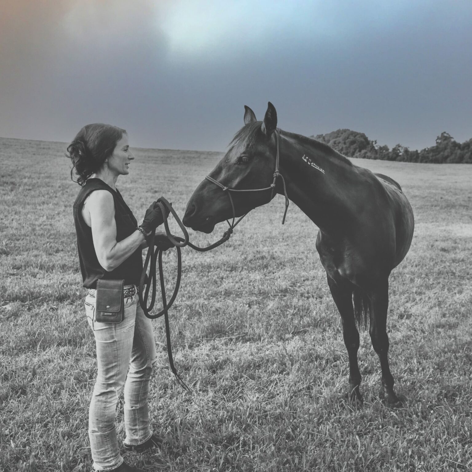 Home - Wild Mustang Ranch