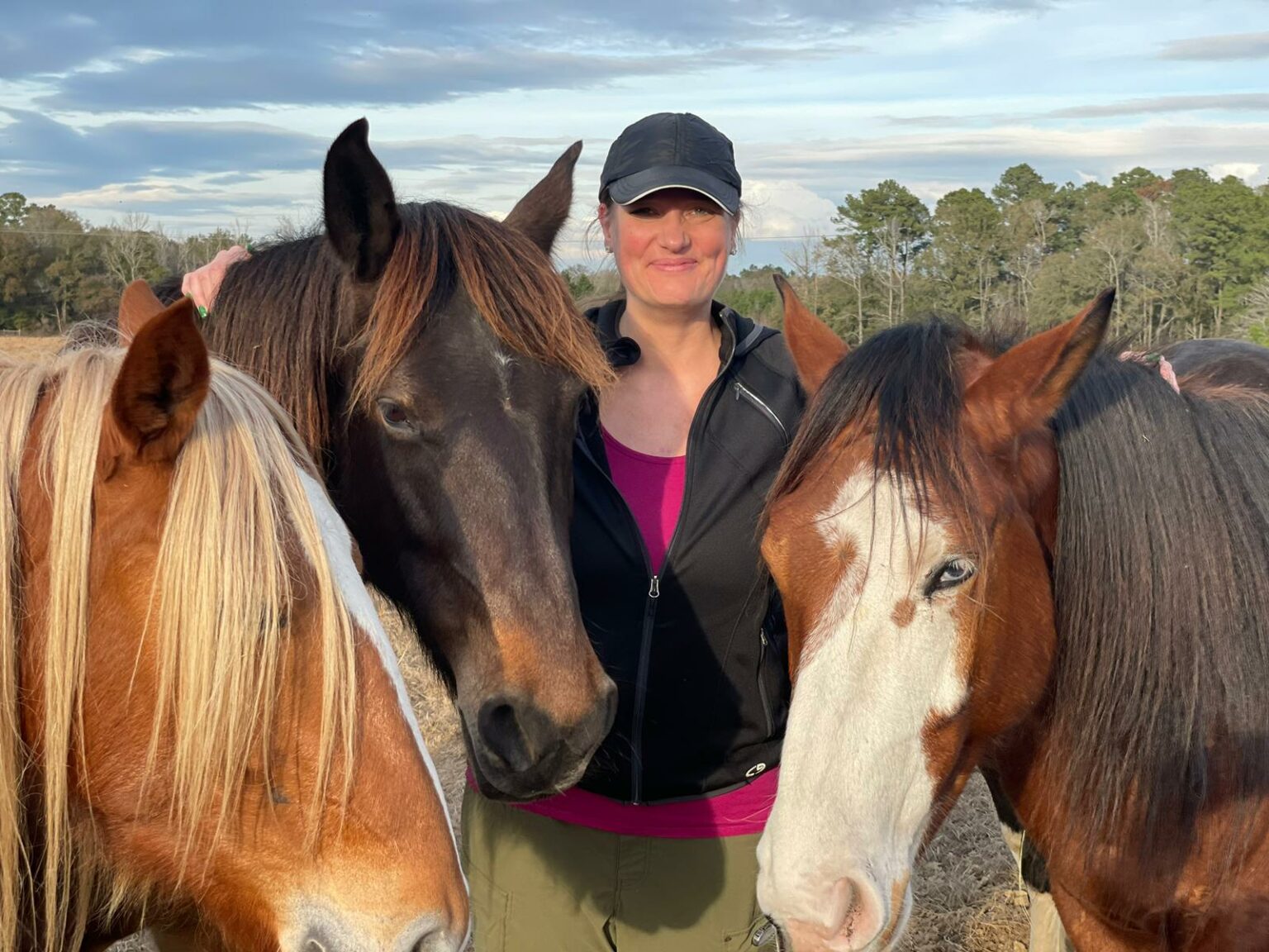 Home - Wild Mustang Ranch