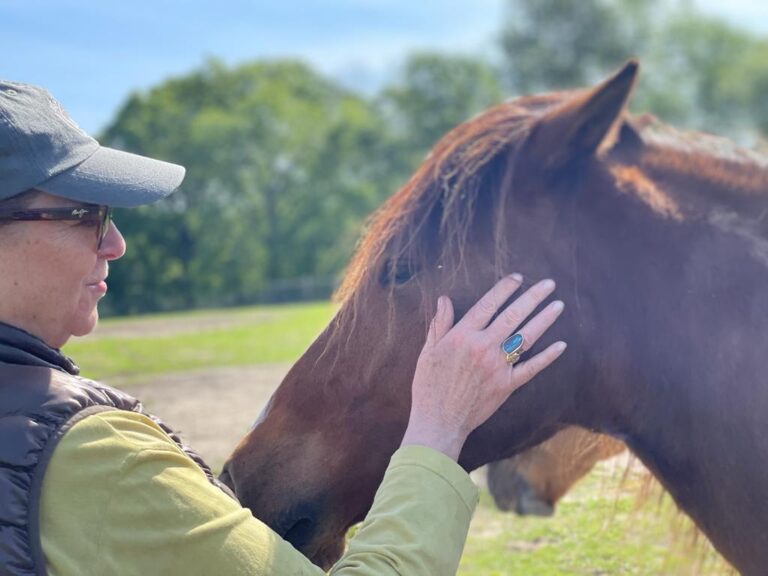 About the Ranch - Wild Mustang Ranch