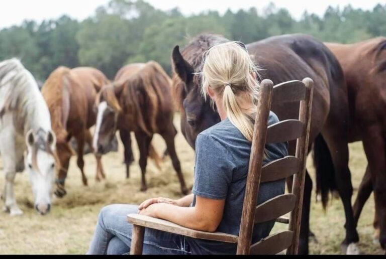 About the Ranch - Wild Mustang Ranch