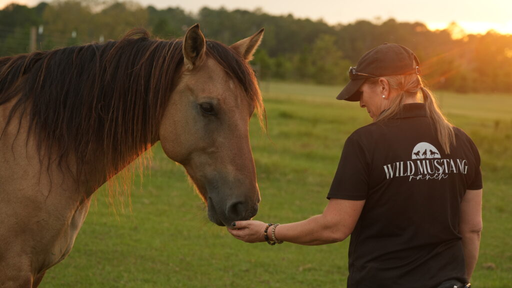 Stay on the Ranch - Wild Mustang Ranch