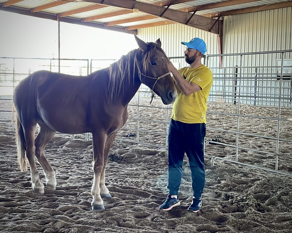 About the Ranch - Wild Mustang Ranch