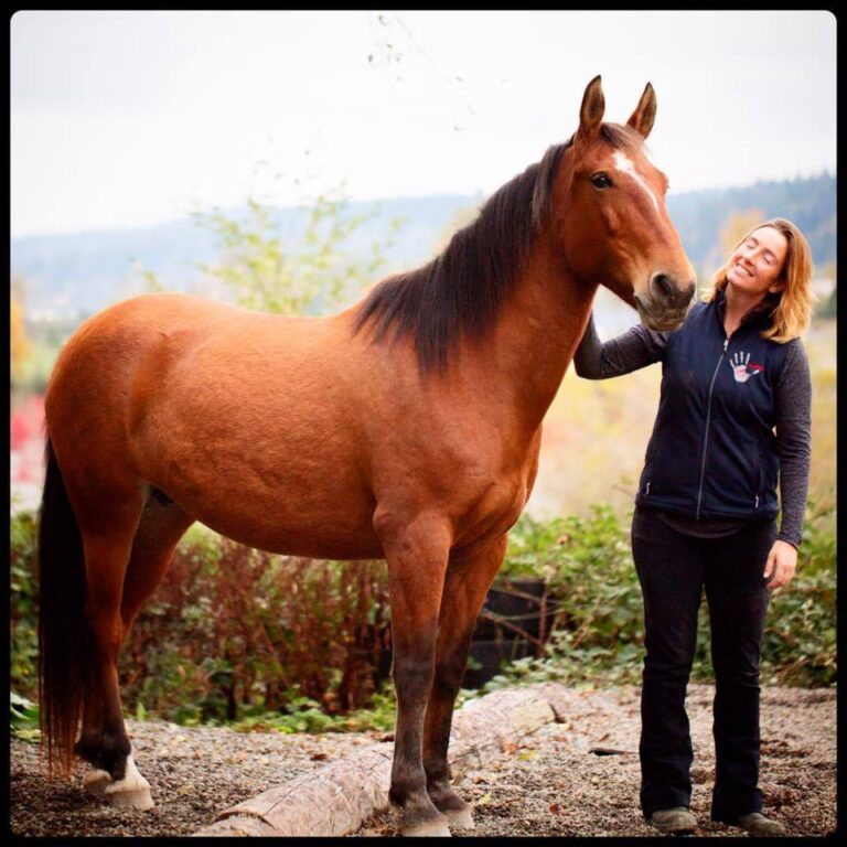 Elsa Sinclair - Wild Mustang Ranch